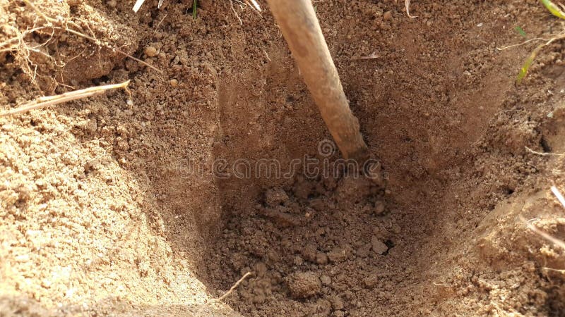 Digging a Pit for Planting a Tree. Stock Footage - Video of tool, iron ...