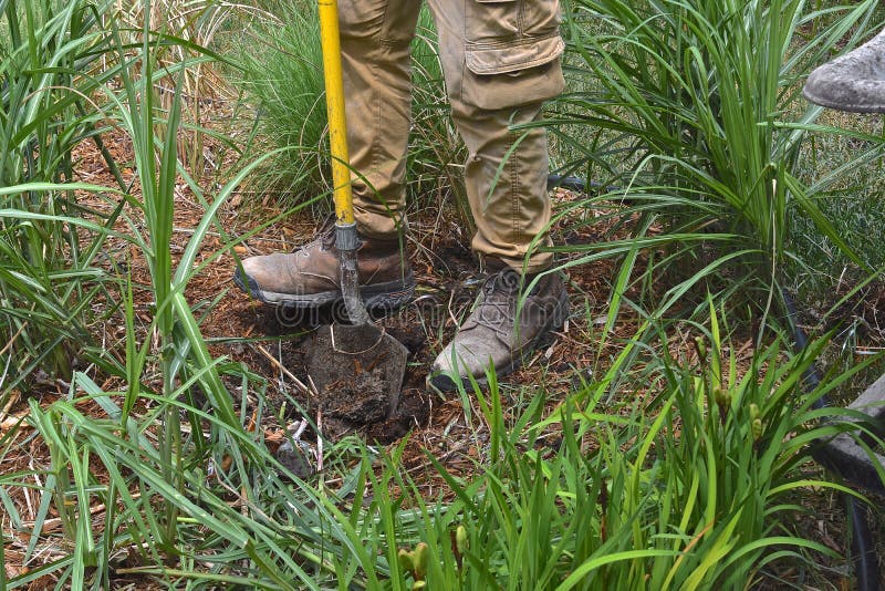Digging or a Pole Hole for a New Fence Stock Image - Image of summer ...