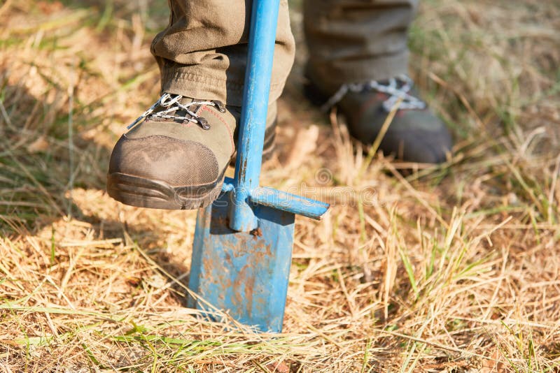 Digging with the Spade for Reforestation Stock Photo - Image of ...