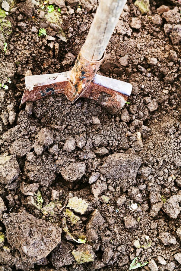 Digging with spade stock photo. Image of newly, land - 34251850