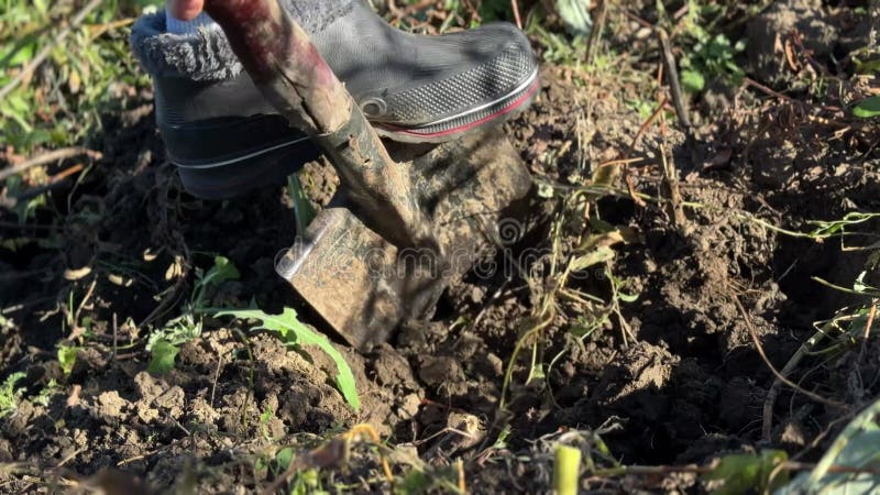 Digging for Treasure in the Garden: a Hands-on Exploration of Finding ... Digging for Treasure in the Garden: a Hands-on Exploration of Finding ...