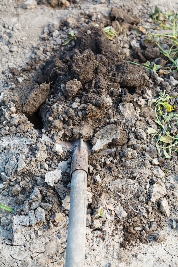 Digging of trench by spade stock image. Image of working - 58770197