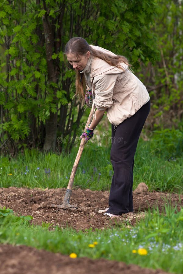 Digging Woman in the Garden Stock Image - Image of shovel, dirt: 61653689