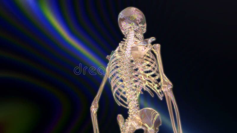 3D Animation of the Human Anatomy Stock Video - Video of anatomy, clip ...