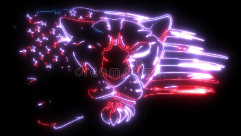 Neon Animation of Cougar Head Stock Video - Video of face, mascot ...