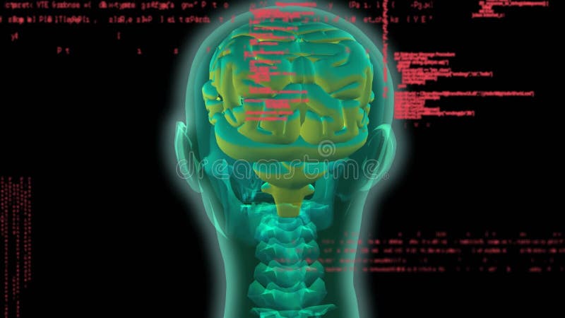 Digital Animation of Human Brain Stock Footage - Video of neurologist ...