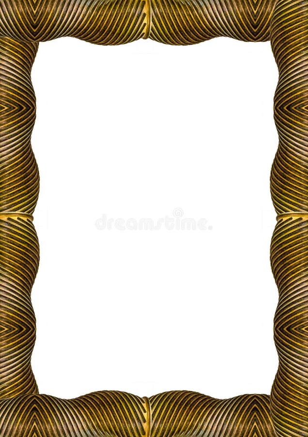 Portrait White Frame with Geometric Linear Edges Stock Illustration ...