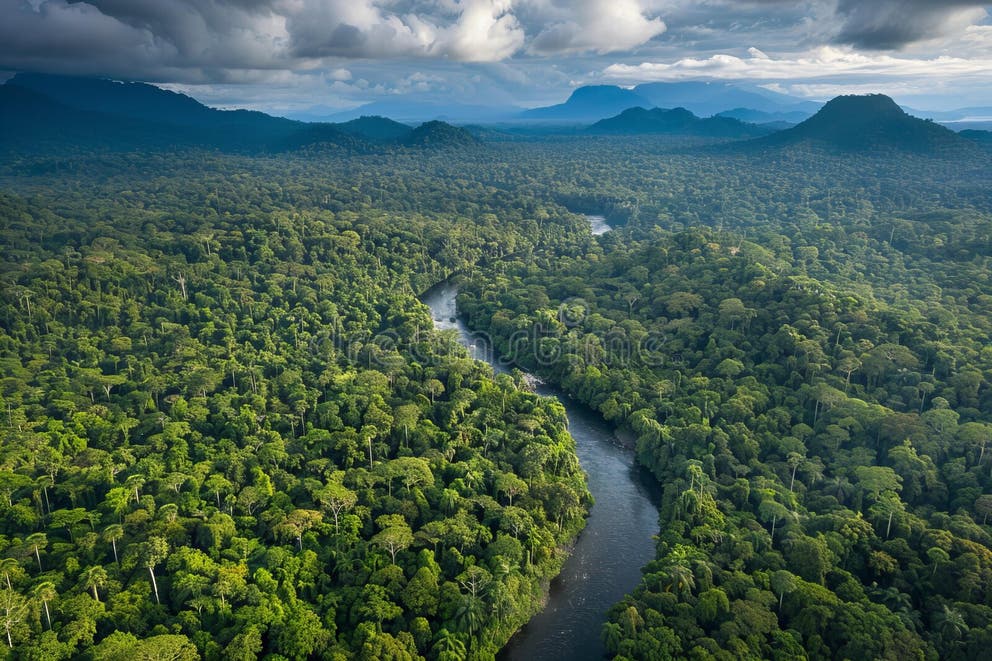 Digital Artwork of Aerial View of the Amazon Rainforest, One Third ...