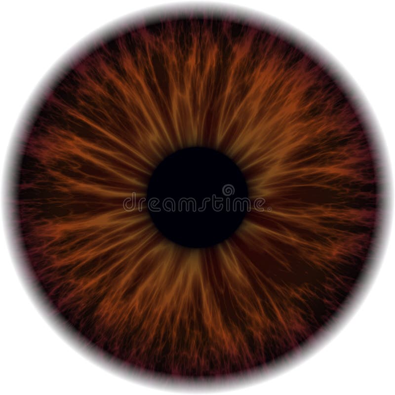 50+ Iris texture Free Stock Photos - StockFreeImages