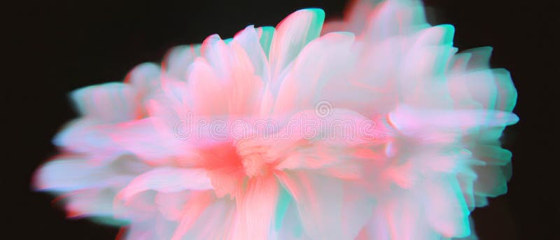 Exploring Digital Art with Distorted Glitching Flower Petal Effects on ...