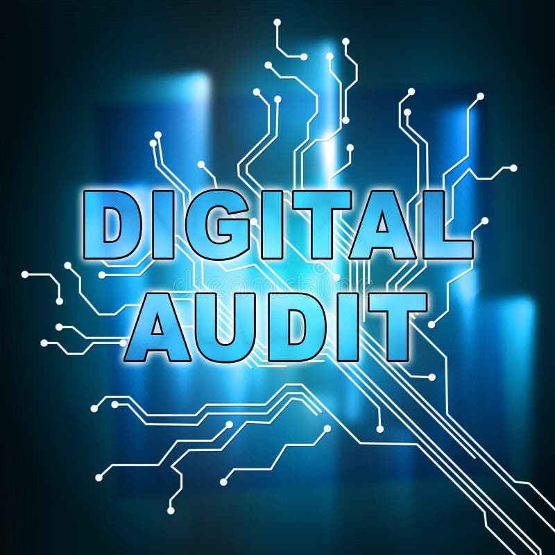 Digital Audit Cyber Network Examination 2d Illustration Stock ...