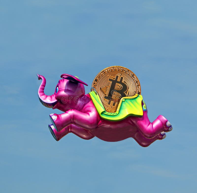 Digital Bitcoin in Pink Flying Elephant Stock Photo - Image of banking ...