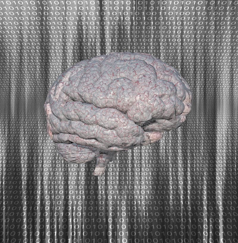 Digital Brain. 3D Rendering Stock Illustration - Illustration of ...