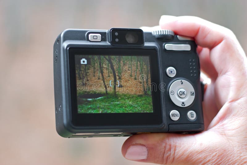 163 Compact Digital Camera Rear View Stock Photos - Free & Royalty-Free ...