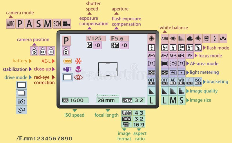 Digital Camera Sensor - Schematic View Stock Vector - Illustration of ...