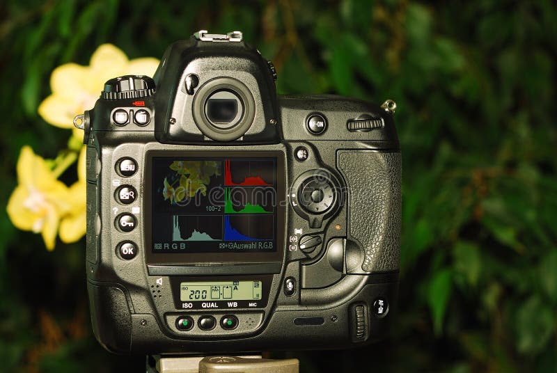 Digital Camera (Rear view) stock photo. Image of digital - 9780358