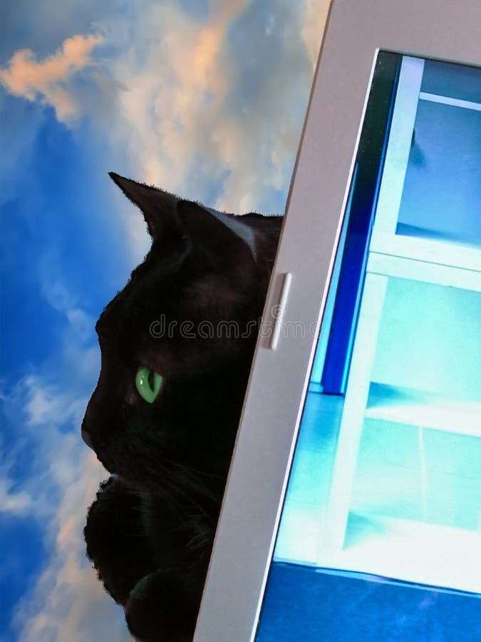 Digital Cat Computer Screen Graphic Fantasy Illustration Electronics ...