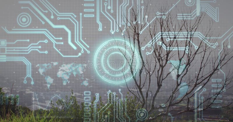 Digital Circuit Patterns and Data Processing Animation Over Barren Tree ...