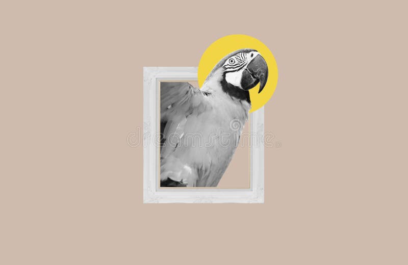 Digital Collage, Bird Get Out of Picture Frame Stock Illustration ...