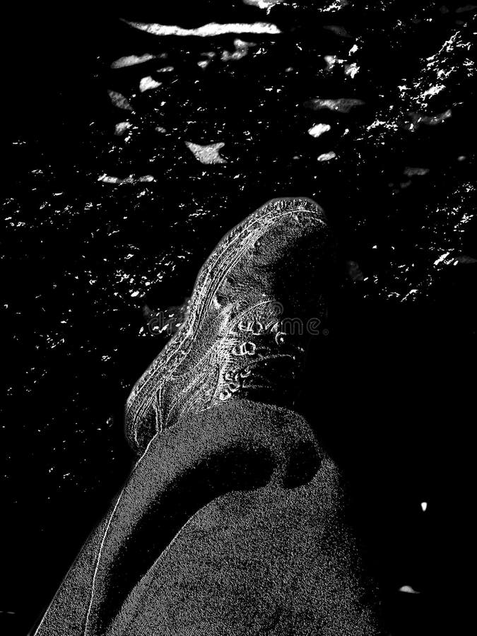 Digital Collage and Special Processing. Weird. Leg with Shoe and Pants ...