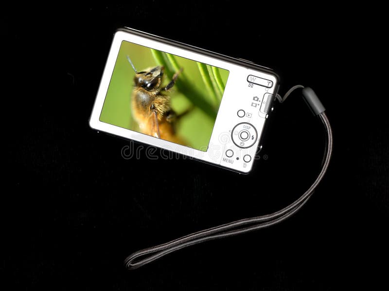 Digital Compact Camera. Gadget, closeup. - Stock Image - Everypixel