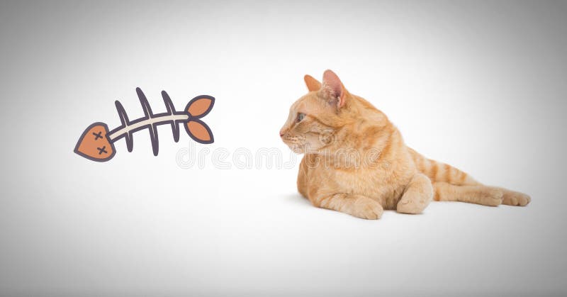 Cat Watching Fish Bone Graphi Stock Illustration - Illustration of ...