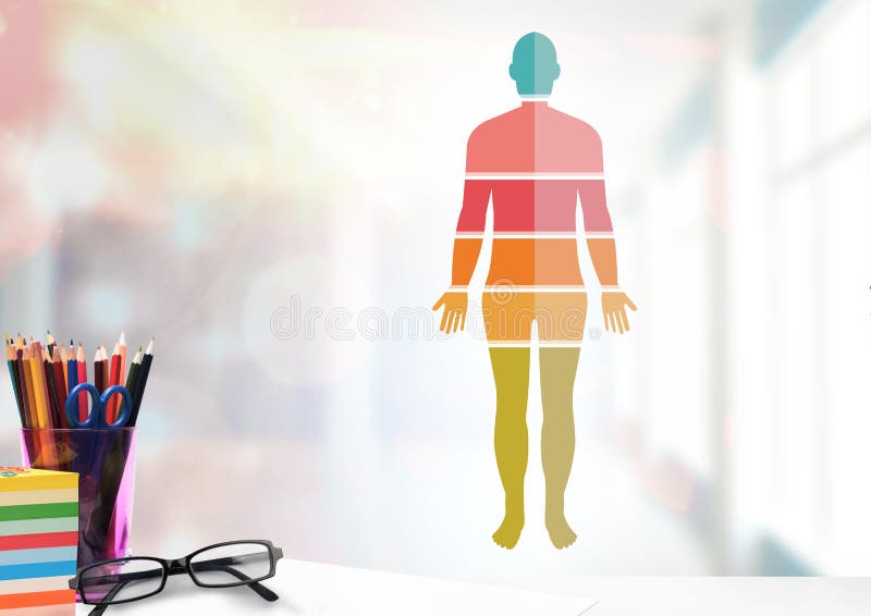 Colorful Human Body Sections and Educational Objects Stock Illustration ...