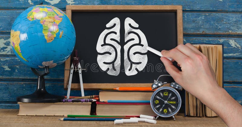 Hand Drawing Brain on Blackboard with Study Objects Stock Illustration ...