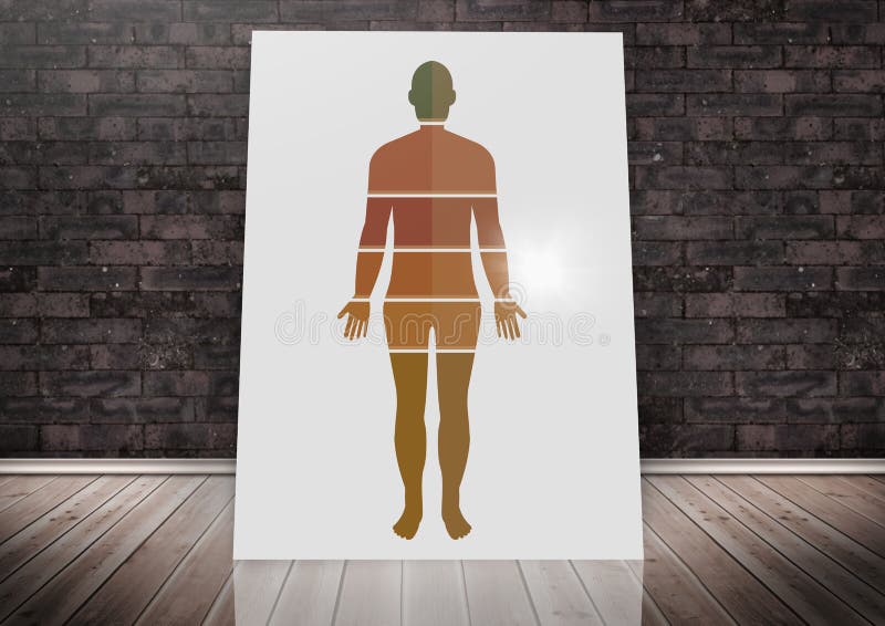 Human Body Sections on Card Against Wall Stock Illustration ...