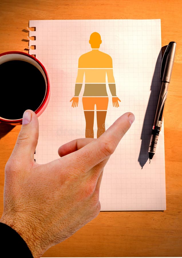 Human Body Sections on Sheet of Paper and Hand Stock Photo - Image of ...