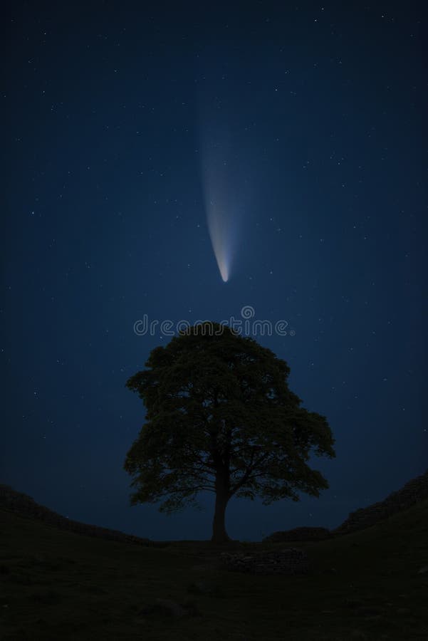 Digital Composite Image of Neowise Comet Over Lone Tree Landscpae Stock ...