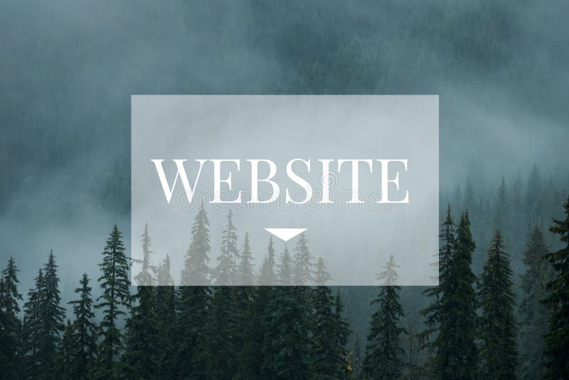 Minimalist Website Interface Stock Image - Image of majestic, pine ...
