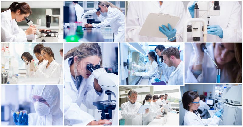 Scientific Research Collage Stock Image - Image of 3034, 2529: 107895343