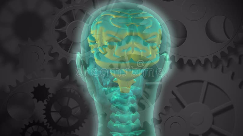 Translucent Brain Rotating Against Dark Background Stock Video - Video ...
