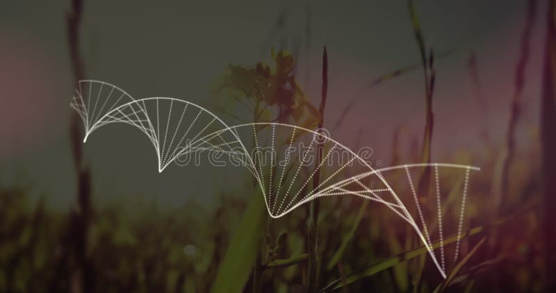 Digital Composition of Dna Structure Spinning Against Grass Moving in ...