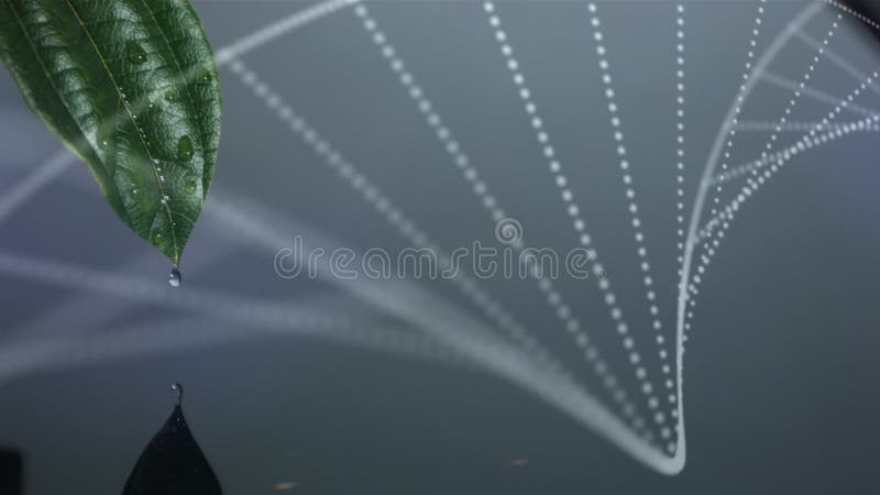 Digital Composition of Dna Structure Spinning Against Water Drops ...