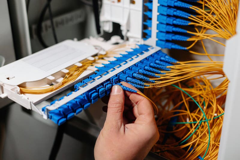 Digital Connectivity: Fiber Optic Cable and Network Server Stock Image ...