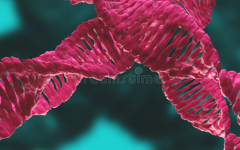 Digital 3d Model of DNA Structure,3d Rendering Stock Illustration ...
