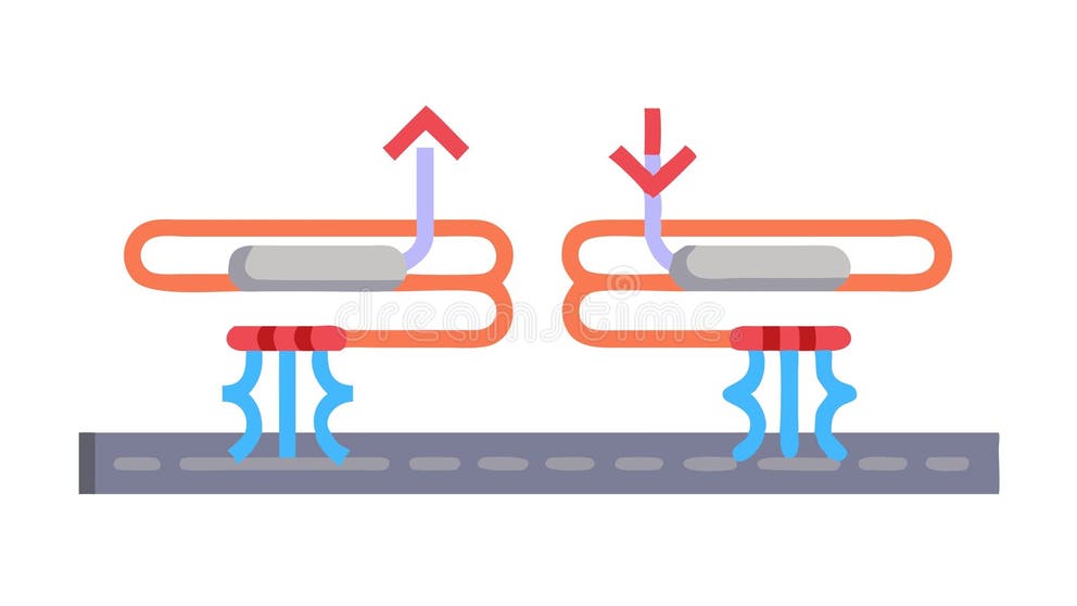 Digital Data Integration, Information Systems, Network Connectivity ...