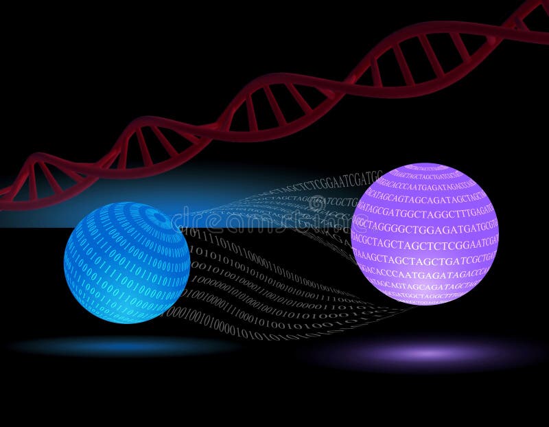 Digital Data Storage in DNA Stock Illustration - Illustration of ...