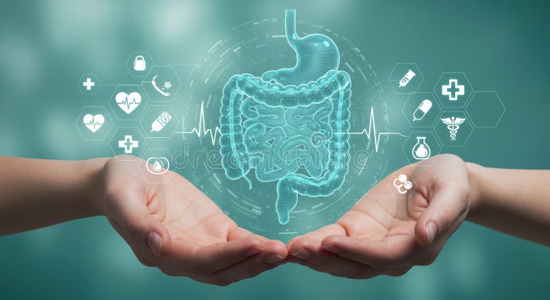 Digital Digestive System: a Serene Teal Visual of Gut Health Stock ...