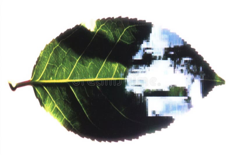 Digital Distortion Leaf with Pixelated Visual Effect and Natural ...