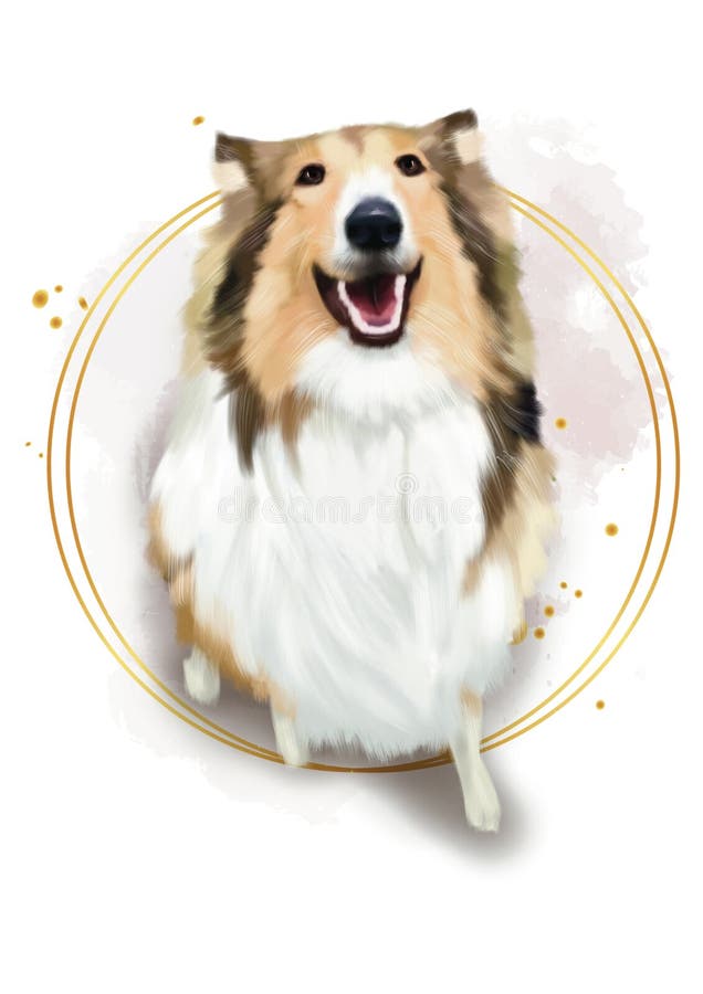 Digital Drawing Art of a Dog Colie Stock Illustration - Illustration of ...