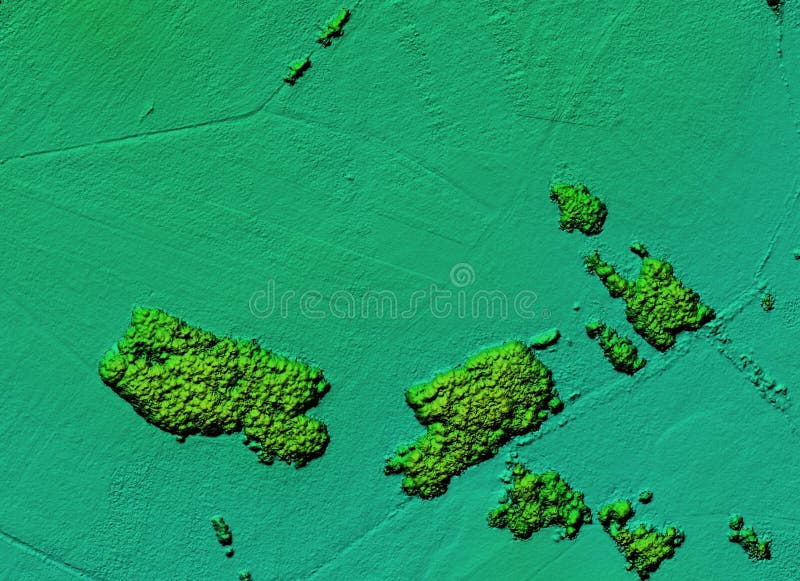 Digital Elevation Model of a Forest Area Stock Illustration ...