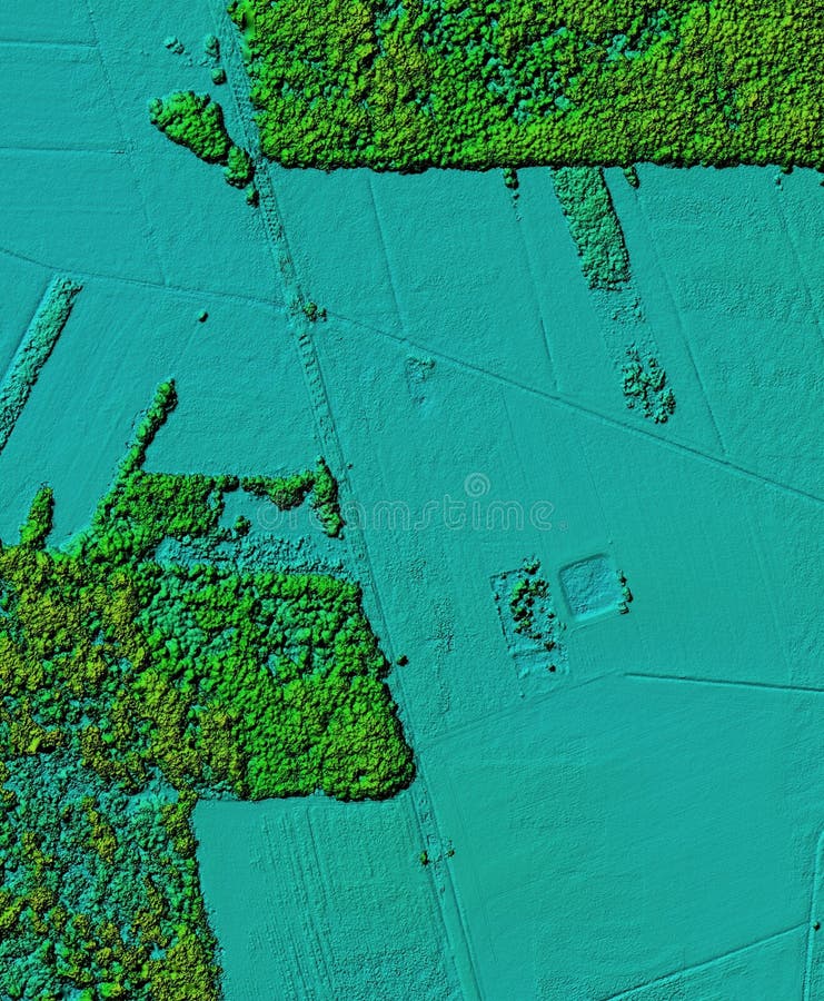 Digital Elevation Model of a Forest Area Stock Illustration ...