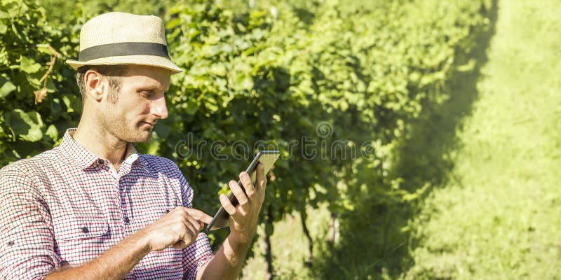 Digital Farmer Checking His Field Stock Photo - Image of summer ...