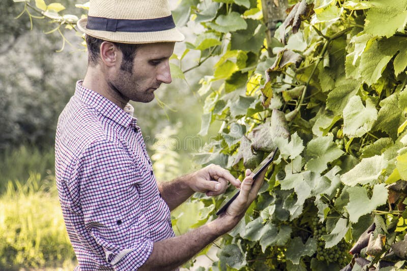 Digital Farmer Checking His Field Stock Image - Image of device, male ...