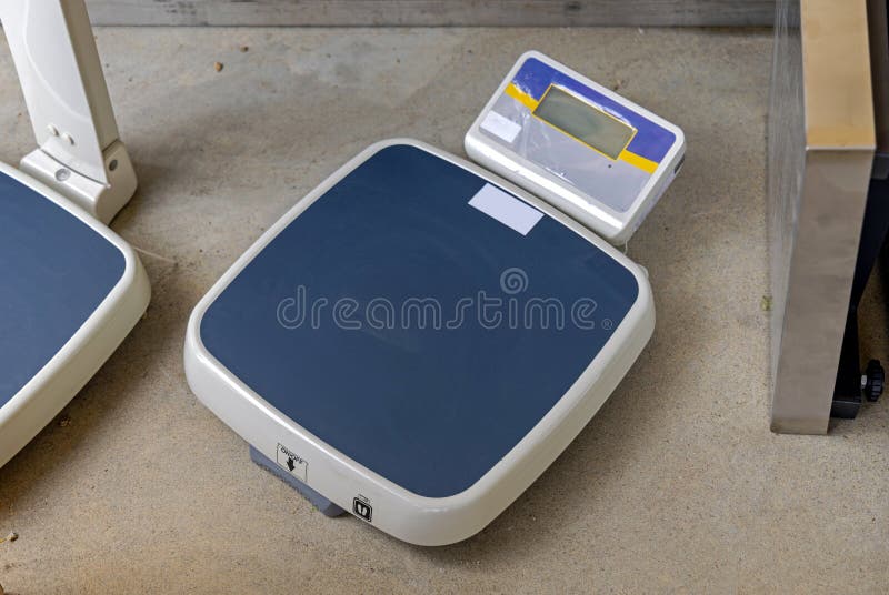 Digital Floor Weight Scale stock image. Image of heavy - 391873275