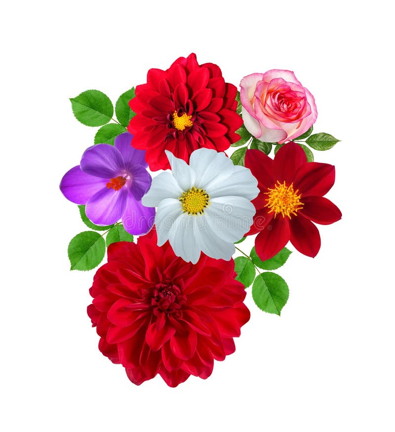Digital Flower, Floral Beautiful Textile Flower Design Stock ...