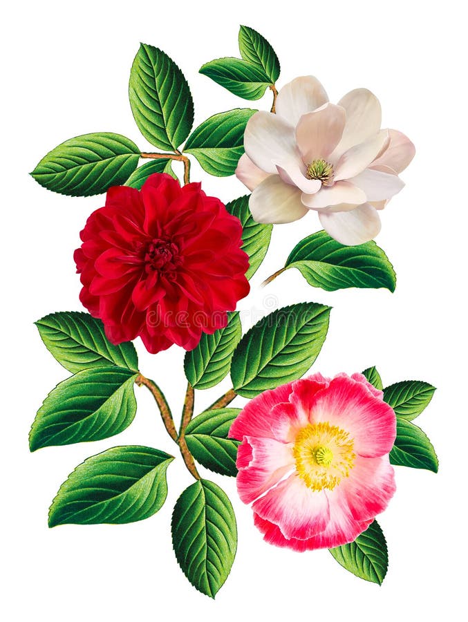 Digital Flower, Floral Beautiful Textile Flower Design Stock ...